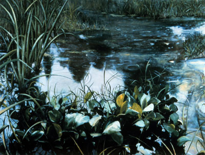 Kevin Muente--Paintings